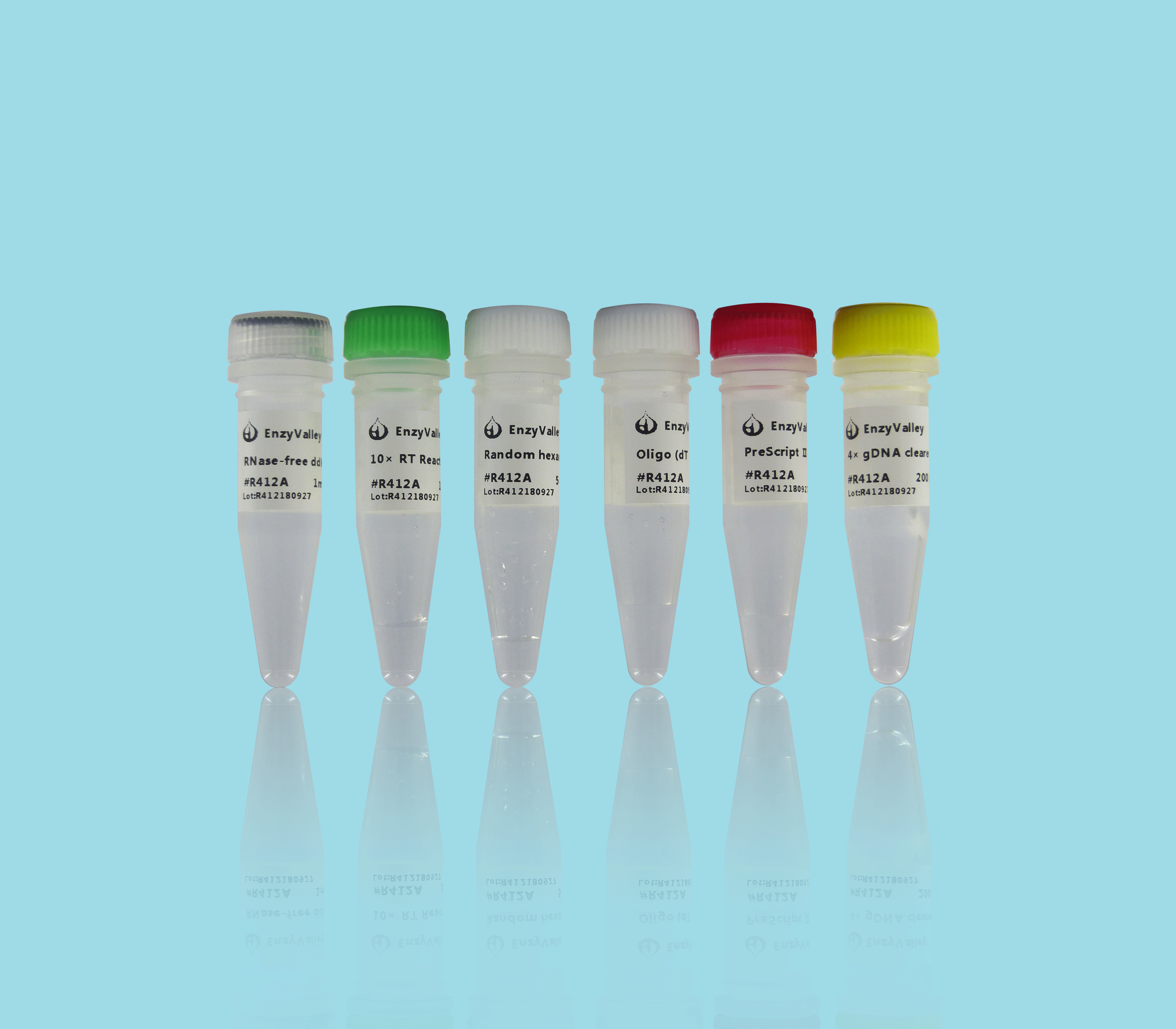 First Strand cDNA Synthesis Kit （+gDNA clearer） - 德国莎斯特（SARSTEDT）广州海睿生物 ...