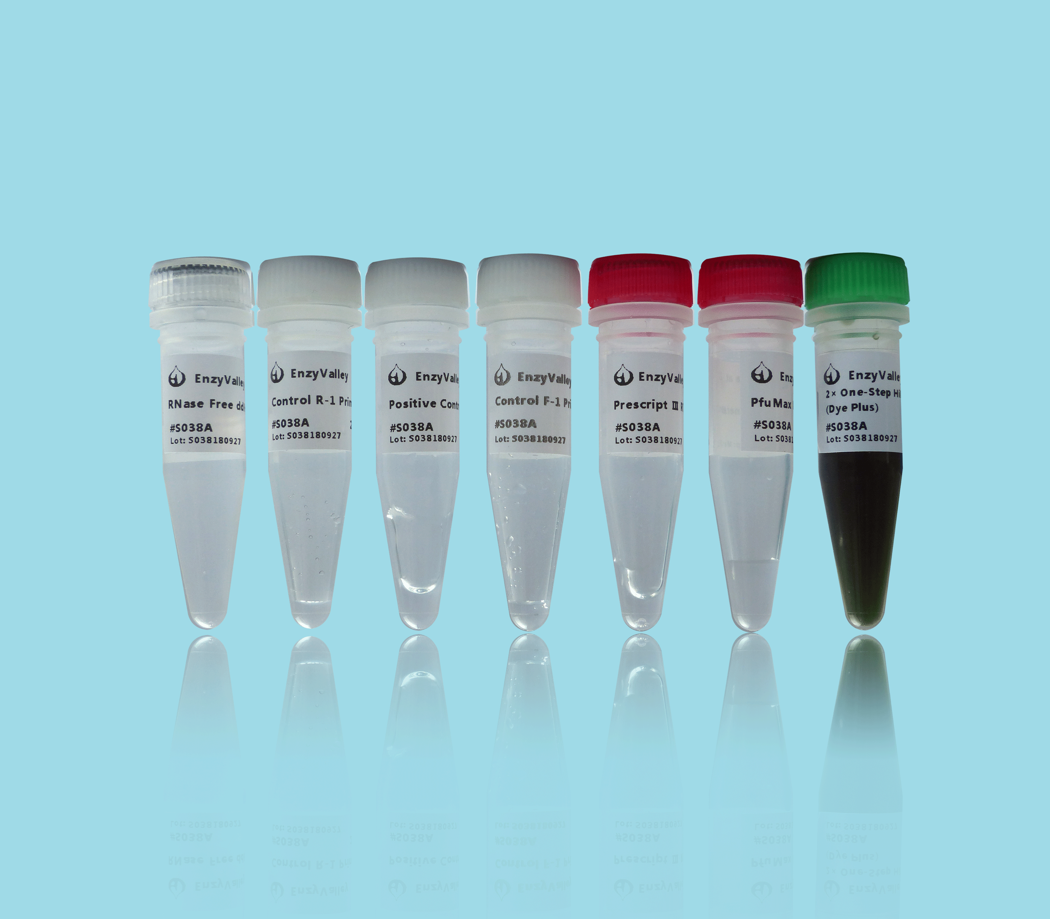 PreScript HiFi One-Step RT-PCR Kit(Dye Plus) - 德国莎斯特（SARSTEDT）广州海睿生物科技 ...