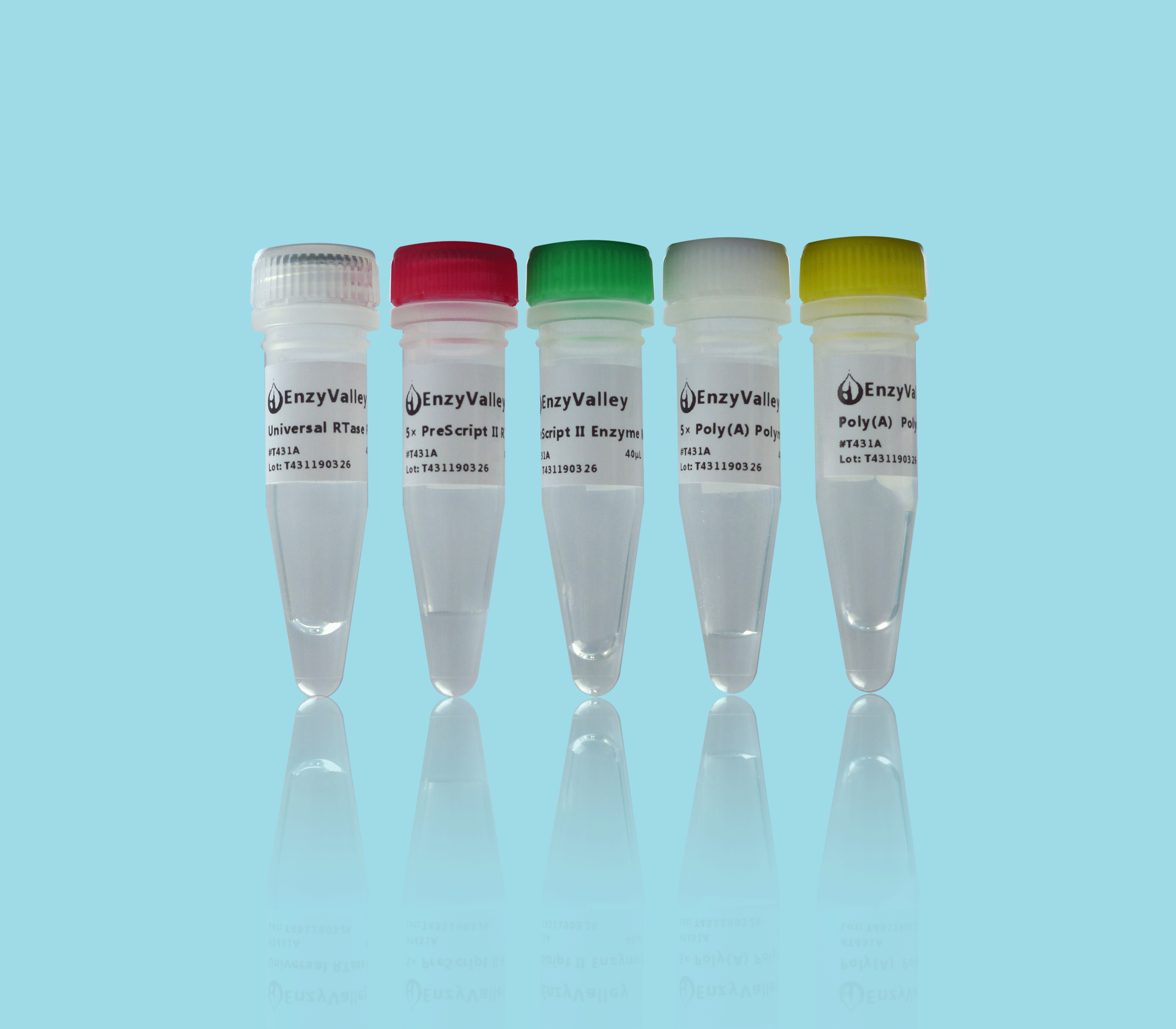 FQTM miRNA cDNA Synthesis kit - 德国莎斯特（SARSTEDT）广州海睿生物科技有限公司一级代理